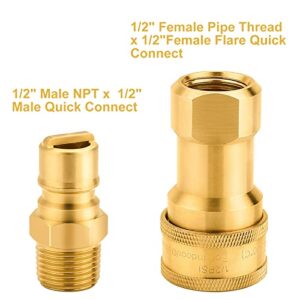 WADEO 1/2" QDD LP Gas Quick Connect Fittings with Male Insert Plug, Natural Gas Propane Quick Disconnect Kit, 100% Solid Brass