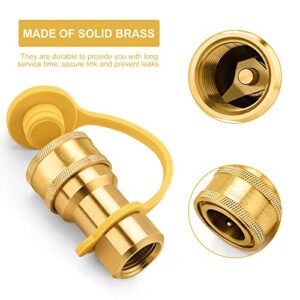 WADEO 1/2" QDD LP Gas Quick Connect Fittings with Male Insert Plug, Natural Gas Propane Quick Disconnect Kit, 100% Solid Brass