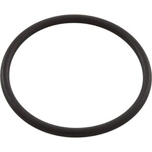 pentair r172319 bottom o-ring