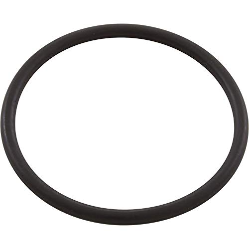 Pentair R172319 Bottom O-Ring