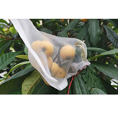 ANWUYANG 50Pcs Grape Protection Bag, Anti-Bird Moisture Insect Net Bag, Vegetable Fruit Protect Breeding Bag Prevent Fruit Tree Mosquitoes (Color : 20x30cm)