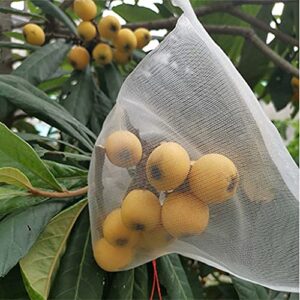 ANWUYANG 50Pcs Grape Protection Bag, Anti-Bird Moisture Insect Net Bag, Vegetable Fruit Protect Breeding Bag Prevent Fruit Tree Mosquitoes (Color : 20x30cm)