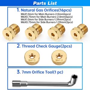 WADEO Natural Gas Orifices Nozzle Conversion Kit, DIY Burner Parts Brass Jet Nozzles for Propane to Natural Gas, Compatible with Blackstone 28" & 36" Griddles, Rangetop Combo, Tailgater