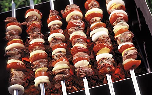 MOCUMEI Metal Skewers for Grilling,Kabob Skewers,Flat BBQ Barbecue Skewer,Grilling Skewers Set,Reusable BBQ (14" skewers(16 Pack))