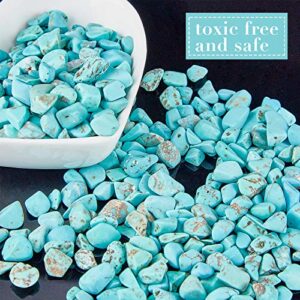 AHANDMAKER Natural Turquoise Chip Beads, 2/3 Pound Polished Tumbled Gemstone Chips Undrilled Crystals for Decoration