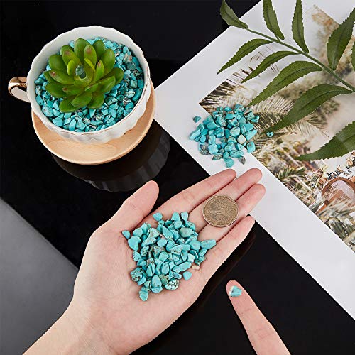 AHANDMAKER Natural Turquoise Chip Beads, 2/3 Pound Polished Tumbled Gemstone Chips Undrilled Crystals for Decoration