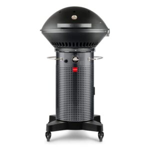 fuego f24c professional propane gas grill