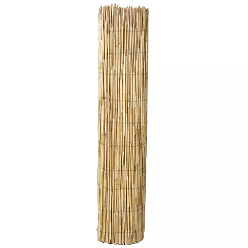 vidaXL Garden Reed Fence Outdoor Outside Yard Patio Backyard Furniture Wall Fence Panel Safety Privacy Barrier Decoration 66.9"x393.7"