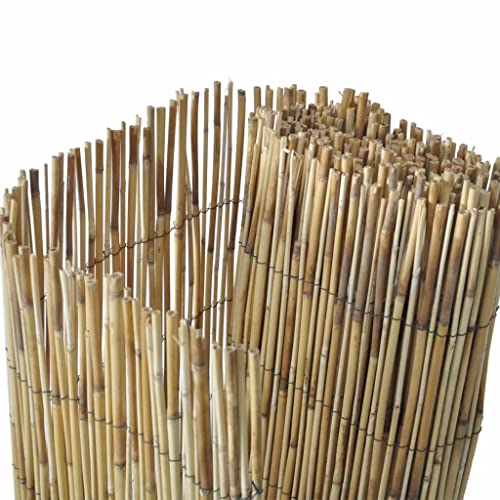 vidaXL Garden Reed Fence Outdoor Outside Yard Patio Backyard Furniture Wall Fence Panel Safety Privacy Barrier Decoration 66.9"x393.7"