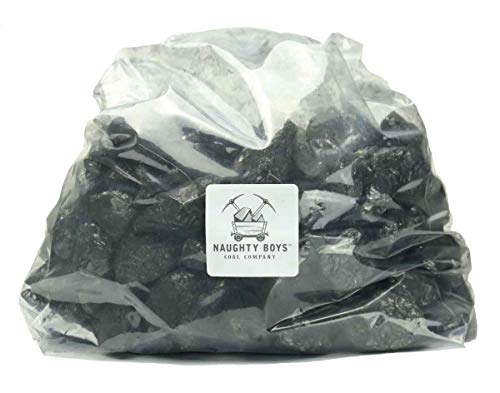 Naughty Boys Coal Company 10 Pounds Anthracite Nut Coal Used for Black Smithing, Heating, Gifts Fire Savers