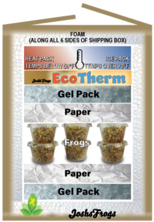 Cold Weather Insulated Reptile Shipping Kit with Heat Pack (8x8x8)