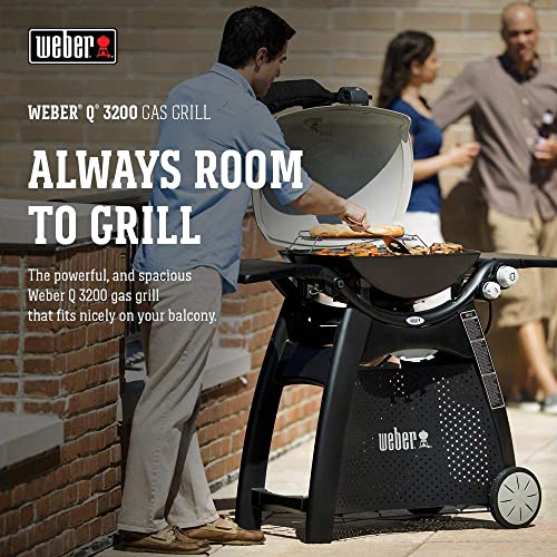 Weber 57067001 Q3200 Portable Natural Gas Grill Titanium Bundle with Premium 2 YR CPS Enhanced Protection Pack