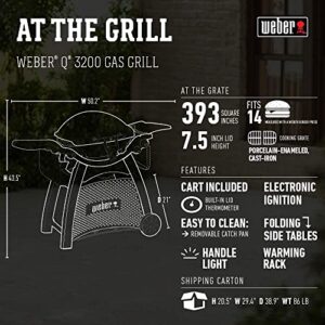 Weber 57067001 Q3200 Portable Natural Gas Grill Titanium Bundle with Premium 2 YR CPS Enhanced Protection Pack