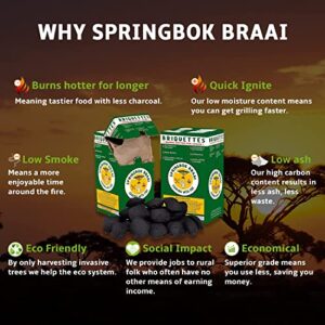 Springbok Braai Best Charcoal Briquettes for Grilling - All Natural Hardwood Briquettes Charcoal for Smoker, Outdoor BBQ Grill - High Heat, Long Lasting, Economical, Sustainable Acacia Wood,1x5 lb Box