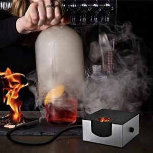 Cocktail Smoker, Wancle Smoking Gun Smoke Infuser for Food Portable Cold Smoker for Food, Cheese & Cocktails,Portable Whiskey Smoker Infuser Smoker Gun for Indoor Kitchen & Outdoor Smoke(Silver)