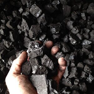 Bituminous Coal 50lbs