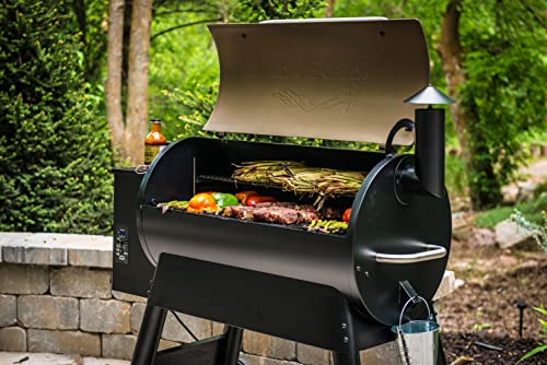 Traeger Grills Pro Series 34 Electric Wood Pellet Grill and Smoker, Bronze, Large