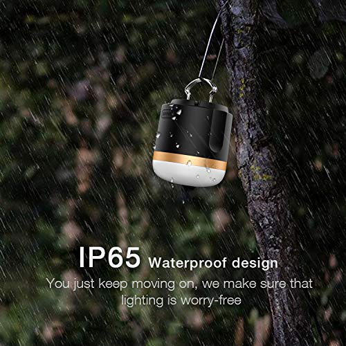 ECOFLOW Camping Lamp, Waterproof Versatile Camp Light, Stepless Dimming, 4 Lightness Modes + SOS, Magnetic Base for Emergency, Outdoor, Hiking and Car