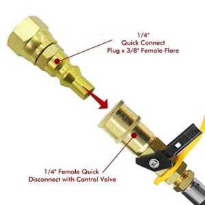 MENSI New Propane Gas BBQ Grill, Heater Appliance 1/4" Quick Key to Hook Up Your Low Pressure RV's Quick-Connect