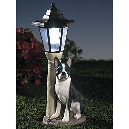 Bits and Pieces-Solar Boston Terrier Lantern-Solar Powered Garden Lantern - Resin Dog Sculpture with LED Light