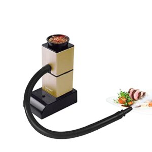 creativechef handheld smoker smoking gun cocktail smoker mini smoker to enhance taste for meat sous vide bbq cocktail drinks&cheese(sg18-golden)