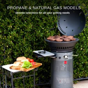 Fuego F21C-H Element Hinged Propane Gas Grill, Dark Gray