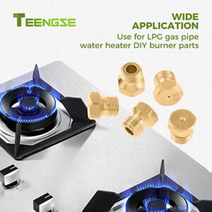 M6×0.75mm/0.5mm Brass Jet Nozzle, TEENGSE 20PCS LP Gas Conversion Kit for Propane LPG Natural Gas Pipe, Water Heater, DIY Burner Parts