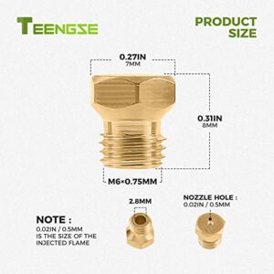 M6×0.75mm/0.5mm Brass Jet Nozzle, TEENGSE 20PCS LP Gas Conversion Kit for Propane LPG Natural Gas Pipe, Water Heater, DIY Burner Parts