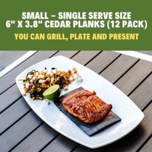 East Coast Cedar Small Planks for Grilling Salmon Made from 100% Natural Maine White Cedar -12 Pack - Adds a Delicious Smokey Flavor - 6" X 3.8" Inches