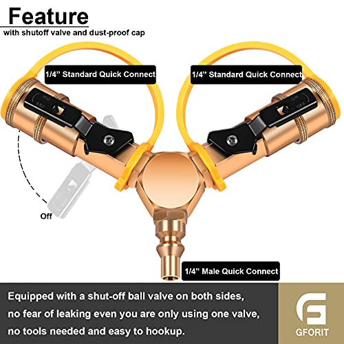 1/4" RV Propane Quick Connect Y Splitter Adapter for RV Trailer and Camping Propane Hose to Motorhome Tabletop Grill 2 Way LPG 1/4 inch Quick Connect or Disconnect Kit Shutoff Valve & Full Flow Plug