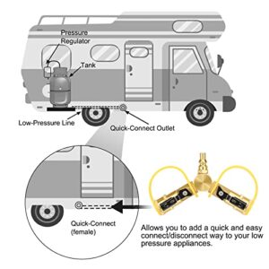 EEEKit 1/4" RV Propane Quick Connect Y Splitter Adapter with Shutoff Valve for RV, Trailer, Quick Connect Propane Hose to Grill, Camper, BBQ, 2 Way 1/4 inch Quick Connect or Disconnect Kit