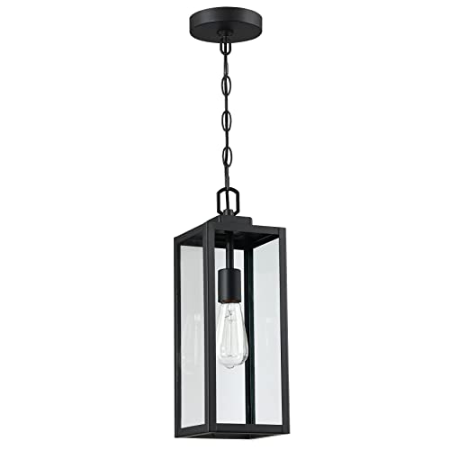 17'' H Outdoor Hanging Lantern