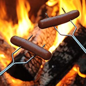 Begatter Marshmallow Roasting Sticks, Extendable Long Smores Sticks & Hot Dog Forks for Fire Pit Campfire, Telescoping Heavy Duty Campfire Forks, 4PCS with Carry Case