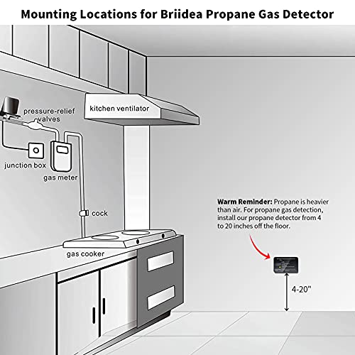 RV Propane Alarm, Briidea Propane Gas Detector with 85dB Loud Alarm, 12 VDC, Black