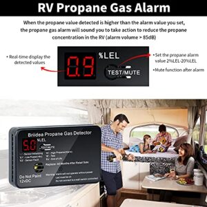 RV Propane Alarm, Briidea Propane Gas Detector with 85dB Loud Alarm, 12 VDC, Black