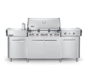 weber 291001, color