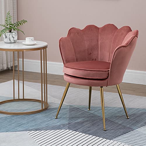 ZJhome Modern Accent Velvet Chairs Set of 2 Comfy Upholstered Vanity Chairs for Bedroom Shell-Shaped Armchair Dining Chairs with Golden Metal Legs Desk Chair Makeup Chairs for Living Room(Pink)