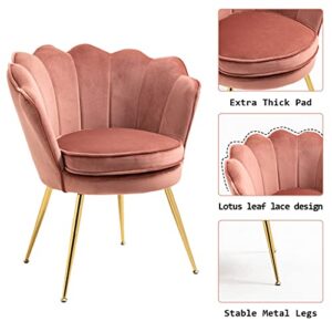 ZJhome Modern Accent Velvet Chairs Set of 2 Comfy Upholstered Vanity Chairs for Bedroom Shell-Shaped Armchair Dining Chairs with Golden Metal Legs Desk Chair Makeup Chairs for Living Room(Pink)