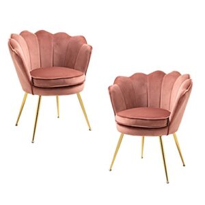 ZJhome Modern Accent Velvet Chairs Set of 2 Comfy Upholstered Vanity Chairs for Bedroom Shell-Shaped Armchair Dining Chairs with Golden Metal Legs Desk Chair Makeup Chairs for Living Room(Pink)