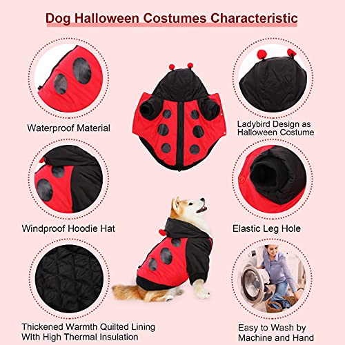 ROZKITCH Dog Halloween Costume, Ladybird Coat for Small Medium Dog Pet Cosplay Party Decoration Jacket for Cat, Cold Weather Coat Hoodie Dress-Up Funny Cool Ugly Black with Red Pattern