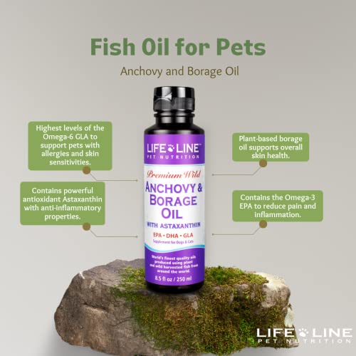 Life Line Pet Nutrition Wild Anchovy & Borage Oil - Premium Fish Oil Supplement for Dogs and Cats with Skin Sensitivites, 26 Fl Oz