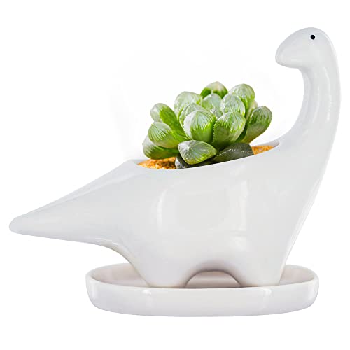 GeLive White Dinosaur Ceramic Succulent Planter Flower Plant Pot Window Box with Saucer Cartoon Animal Decor