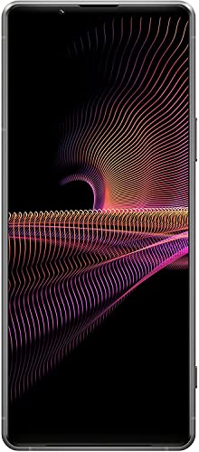 Sony Xperia 1 III XQ-BC72 5G Dual 512GB 12GB RAM Factory Unlocked (GSM Only | No CDMA - not Compatible with Verizon/Sprint) International Version – Frosted Gray