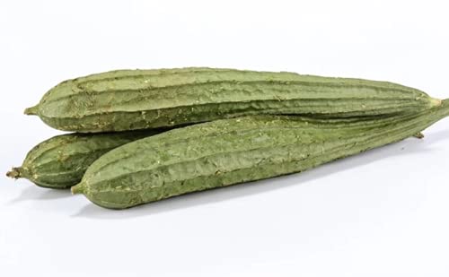 Gaea's Blessing Seeds - Luffa Gourd Seeds (3.0g) - Bonanza Heirloom - Non-GMO Seeds with Easy to Follow Planting Instructions - Heirloom Sponge Ridged Loofah Muop Huong 94% Germination Rate