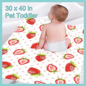 Cute Strawberry Fruit Blanket Cozy Soft Lightweight Flannel Throw Blanket for Bed Sofa Travel All Season Pets 40"x30"