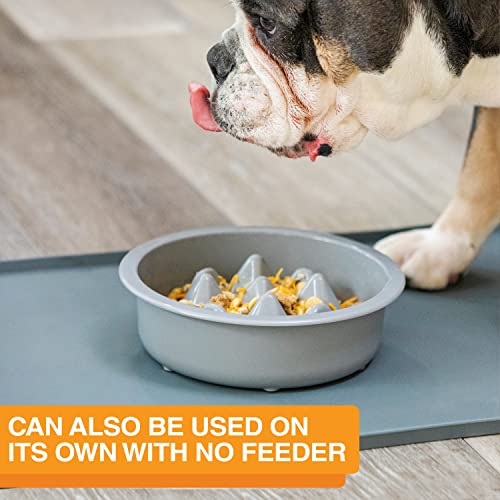 Neater Pets The Niner Slow Feed Bowl for Cats & Dogs - Insert Bowl for Neater Feeder Express Medium/Large, Deluxe Large, & 2-Quart Feeders - Slow Down Eating & Stop Bloat Vomit - 2 Cups Food Capacity