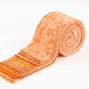 AbsoluteBestChoice 18 Strips-Orange Jelly Roll 2.5 inch pre-Cut 100% Cotton Fabric Quilting Strips