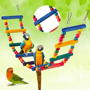 5 Pcs Chicken Toys Set for Hens Chicken Bird Hanging Swing Ladder Toys for Coop Accessories Chicken Pecking Toys Veggies Skewer Vegetable Fruit Hanging Feeder Bag for Chicks Pet Parrots Stress Relief