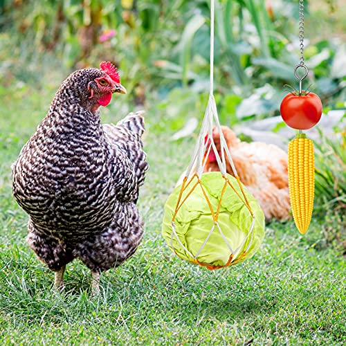 5 Pcs Chicken Toys Set for Hens Chicken Bird Hanging Swing Ladder Toys for Coop Accessories Chicken Pecking Toys Veggies Skewer Vegetable Fruit Hanging Feeder Bag for Chicks Pet Parrots Stress Relief