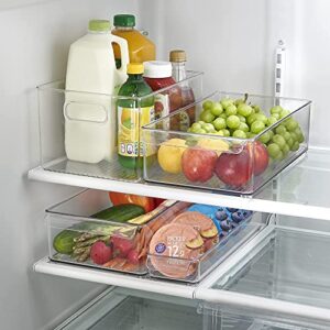 Polder Clear Fridge / Freezer / Pantry Bins (Large Bin)